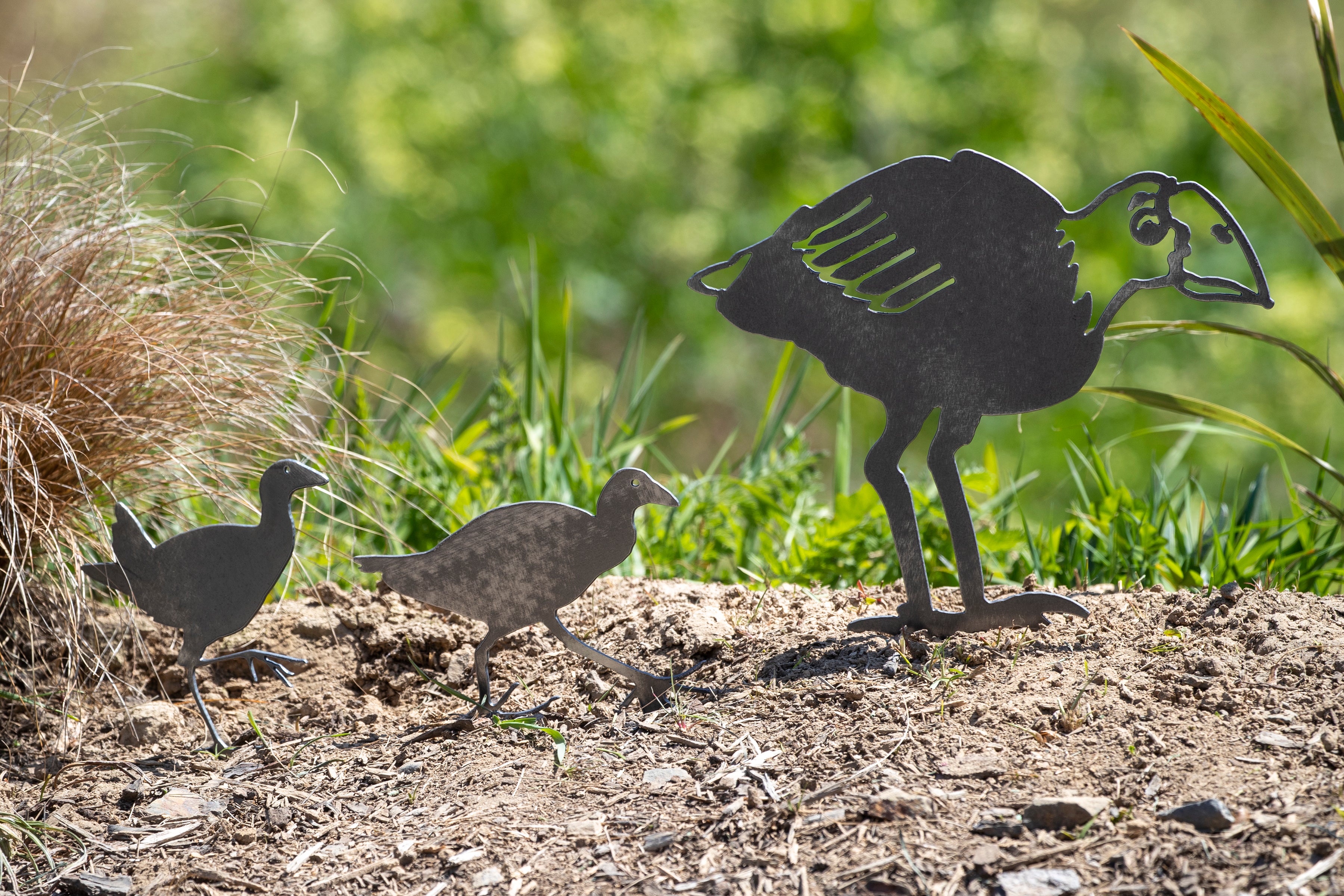 Pukeko Family – Kiwi Metal Art